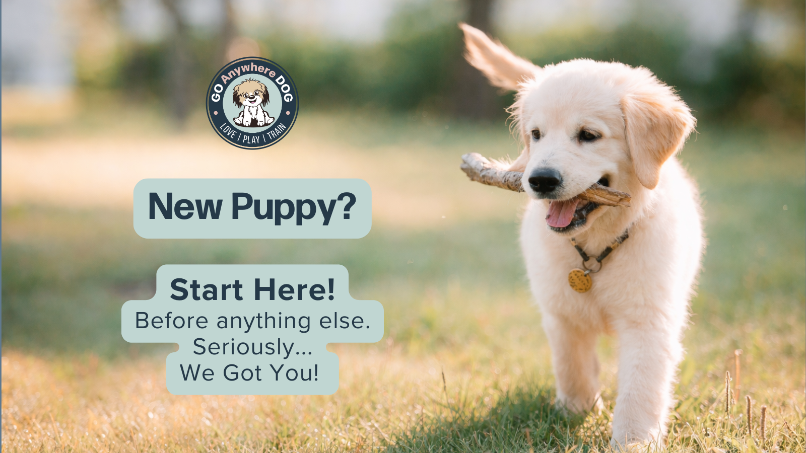 New Puppy? Your 1st Step for Success | Speaking Dog by GAD®